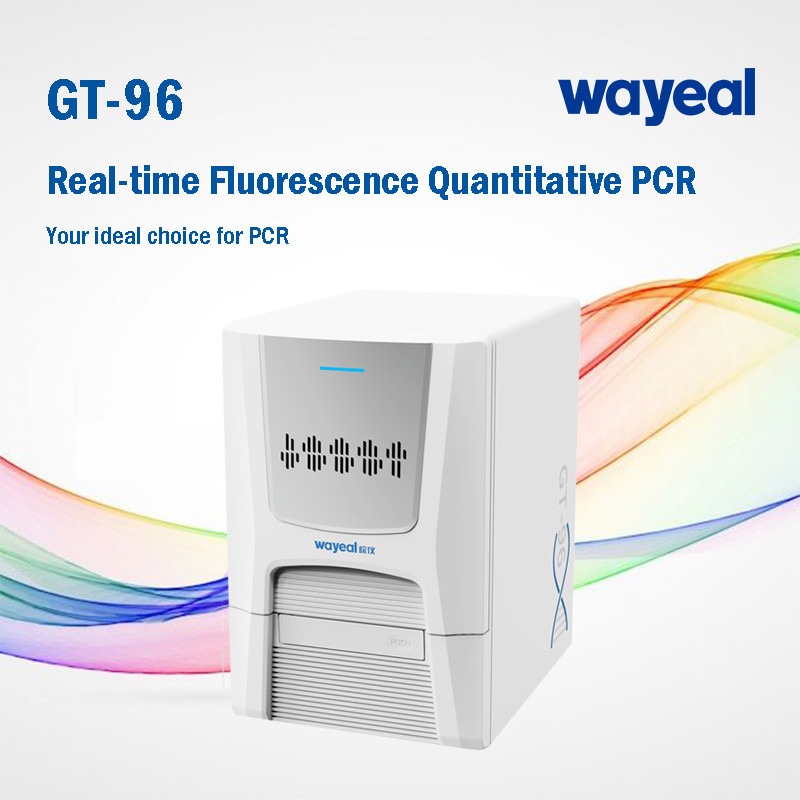 Wayeal Clinical Medical Real Time Pcr Analyzer Untuk Pengujian Asam Nukleat